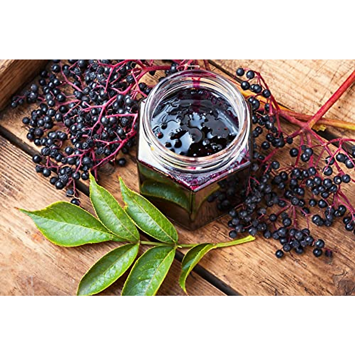 Gaea's Blessing Seeds - Elderberry Seeds - American Black Elderberry Heirloom - Non-GMO Seeds with Easy to Follow Planting Instructions - 90% Germination Rate