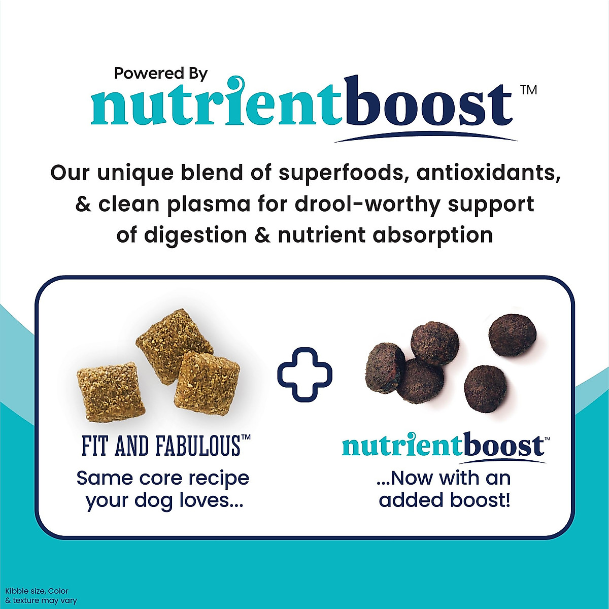 Solid Gold Fit and Fabulous Chicken - Nutrientboost Dry Dog Food for Weight Control - Digestive Probiotics for Dogs Grain & Gluten Free High Fiber & Low Fat - Omega, Superfoods & Antioxidants - 22 LB