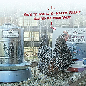 Manna Pro Hanging Chicken Waterer for Chicken Coop | Holds 2 Gallons of Water | Harris Farms Galvanized Steel Double Wall Poultry Drinker ,Silver