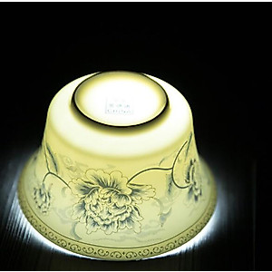 Eplze YBK Tech 10oz Large Gaiwan, Porcelain Kung Fu Tea Cup with Saucer and Lid, Chinese Traditional Gaiwan, Sancai Tea Bowl (4#)