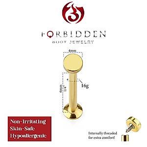 Forbidden Body Jewelry 16g Gold IP Plated Surgical Steel Minimalist Cartilage, Tiny Circle Statement Earring