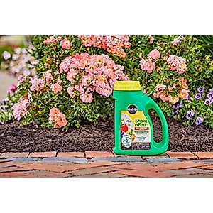 Miracle-Gro Shake 'N Feed All Purpose Plant Food, Plant Fertilizer, 4.5 lbs. (6-Pack)