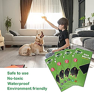 Mouse Trap, Glue Traps for Mice and Rats, Rat Traps Indoor,Heavy Duty Sticky Trap Mouse Insects Bed Bugs Spiders Cockroaches 10 Pack Large Size 10"×5"