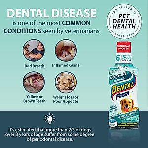 Dental Fresh Water Additive for Dogs, Original Formula, 17oz – Dog Breath Freshener and Dog Teeth Cleaning for Dog Dental Care– Add to Water