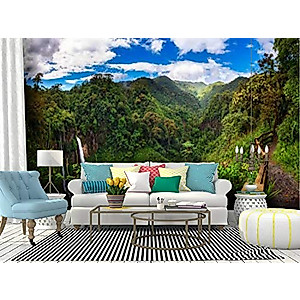 catarata del toro waterfall with surrounding mountains in costa rica Canvas Print Wallpaper Wall Mural Self Adhesive Peel & Stick Wallpaper Home Craft Wall Decal Wall Poster Sticker for Living Room
