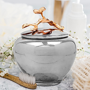 Decozen Qtip Holder and Cotton Jar with Lid - Elegant Glass and Metal Organizer for Decorative Kitchen Home Decor Bath Accessories Countertop Bedroom Glass Jar Lid Organizer - The Milli Collection