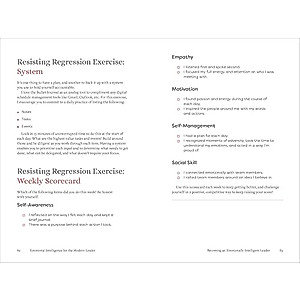 Emotional Intelligence for the Modern Leader: A Guide to Cultivating Effective Leadership and Organizations