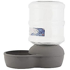 Petmate Aspen Pet Lebistro Cat and Dog Water Dispenser