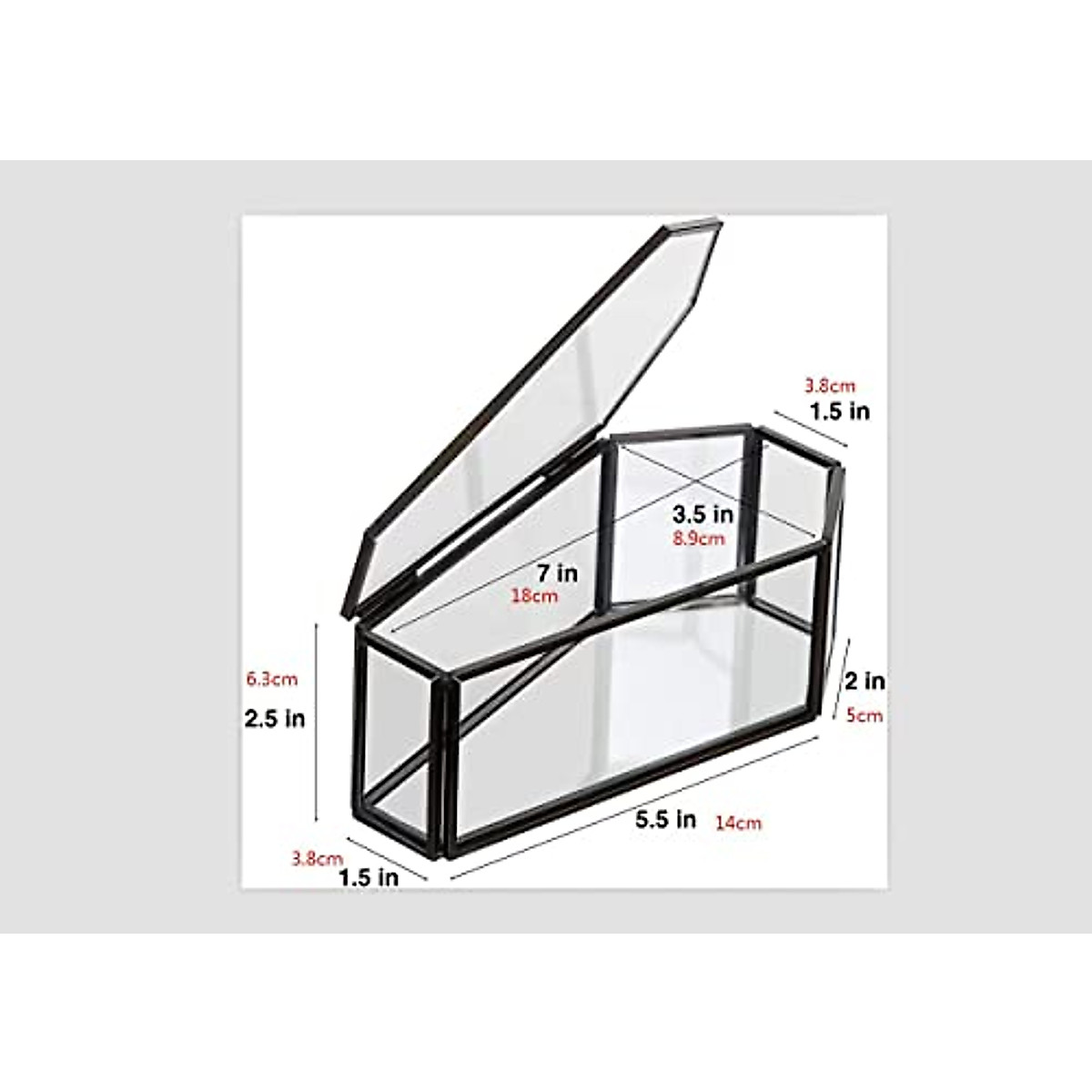libproqia Small Coffin Glass Jewelry Box Black Trinkets Glass Coffin Terrarium Gothic Halloween Storage Vintage Coffin Box Glass Vampire Keepsake Display Organizer