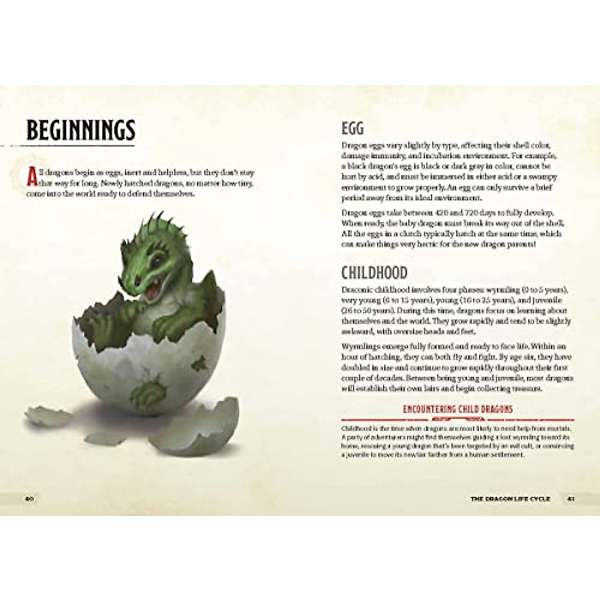 Dragons & Treasures (Dungeons & Dragons): A Young Adventurer's Guide (Dungeons & Dragons Young Adventurer's Guides)