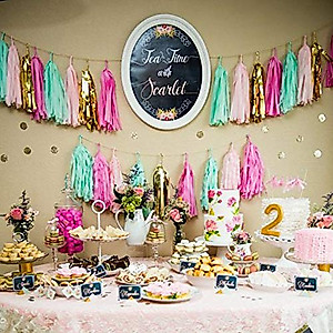 20pcs Tassel Garland Party Decor，Tassel Banner Tissue Paper DIY Decorations for Wedding Baby Shower Birthday Event Party Garland Decor (Gold Mint Rose Red Pink)