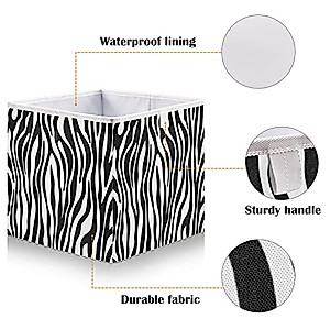 Kigai Black & White Zebra Print Storage Bin Closet Organizers Collapsible Toy Storage Cube for Home Organization Shelf Store Bins Container, 11" x 11" x 11"