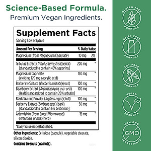 Designs for Health GI Microb-X - Botanical Gut Support, Cleanse + Detox Supplement with Tribulus, Berberine + Barberry Extract - Vegetarian + Non-GMO (120 Capsules)