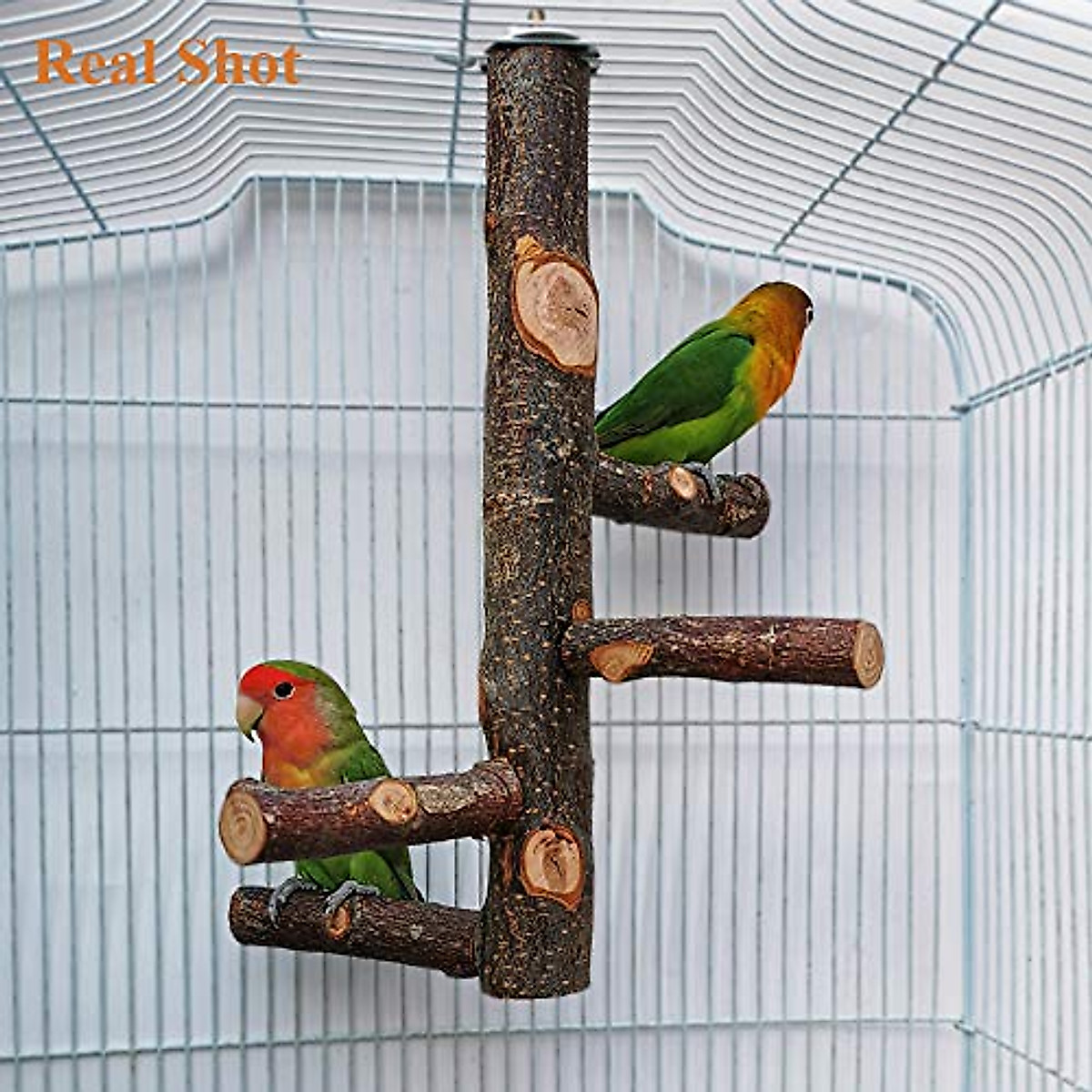 kathson Parrots Perch Natural Fruit Wood Stand Toy Branch Paw Grinding Standing Climbing Toy Cage Accessories for Small and Medium Birds,Parakeets,Lovebirds,African Grey,Cockatiels