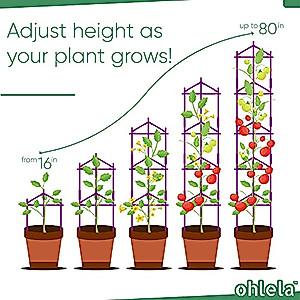 Large Tomato Cages for Garden - 6.5ft (Up to 80 Inches) Heavy Duty Tomato Cages for Vine, Vegetables, Fruits & Flowers with Adjustable Stake Arms - Tomato Stakes with 20Pcs Plant Clips