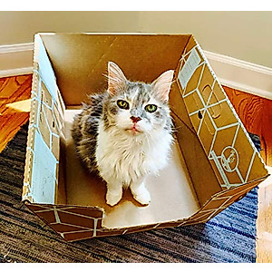 Cats Desire Disposable Litter Boxes 10 Trays-8.5 inches Tall Each Tray