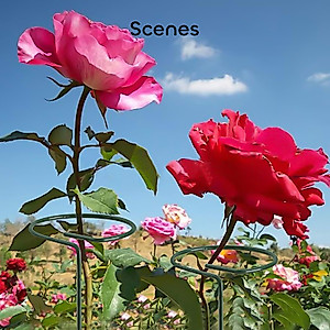 GROWNEER 12 Packs 16 Inches Garden Flower Support Plant Support Stakes, with 15 Pcs Plant Labels, Single Plant Stem Flower Support for Flowers, Orchid, Peony, Lily, Rose