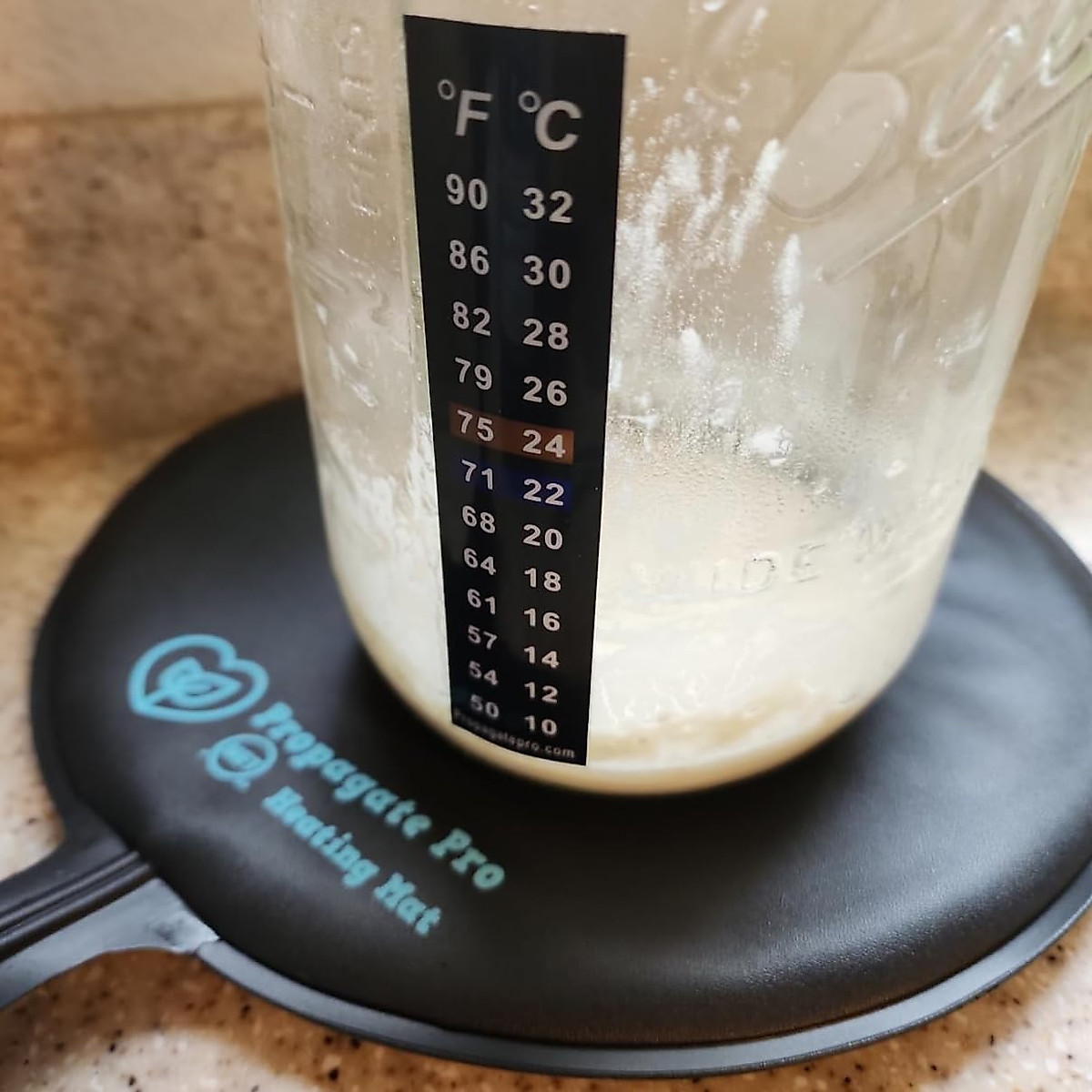 Brewing & Fermentation Heat Pad for Homebrew Beer & Wine Fermenting 120VAC 12 or 25 Watt Heating Mat: Safe for Plastic/Glass Carboy Fermentors w/Heater Temp Strips (10" - 12 Watts (Black))