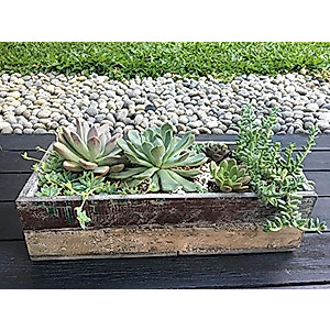 Wood Bathroom Decorative Storage Mason Jar Box, Toilet Paper Holder, Succulent Garden Planter, Diaper Organizer, Small Wooden Crate or Farmhouse Rustic Decor (Random)