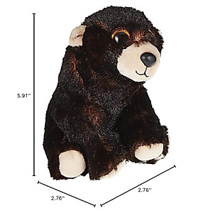ty - Beanie Babies Brown Bear Kodi - 15 CM