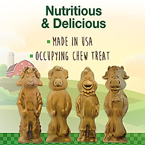 Nylabone Healthy Edibles All-Natural Puppy Chew Treats for Large Breed Puppies Lamb & Apple Medium 2 Count (Pack of 1)