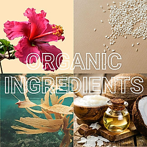 Organic Anti Aging Anti Wrinkle Serum | Award Winning Face Serum to Reduce Wrinkles and Fine Lines | Firming, Tightening, Lifting, & Rejuvenating | Hydrating Natural Organic Skin Care