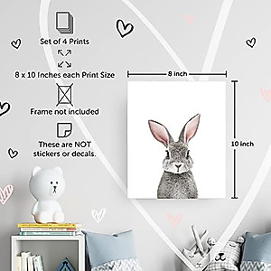 Designs by Maria Inc. Animal Posters | Baby Nursery Decor | Baby Room Pictures Art | Cute Animal Pictures | Set of 6 UNFRAMED Wall Prints | Boy & Girl Baby Room Wall Decor Animal Print (8"x10")