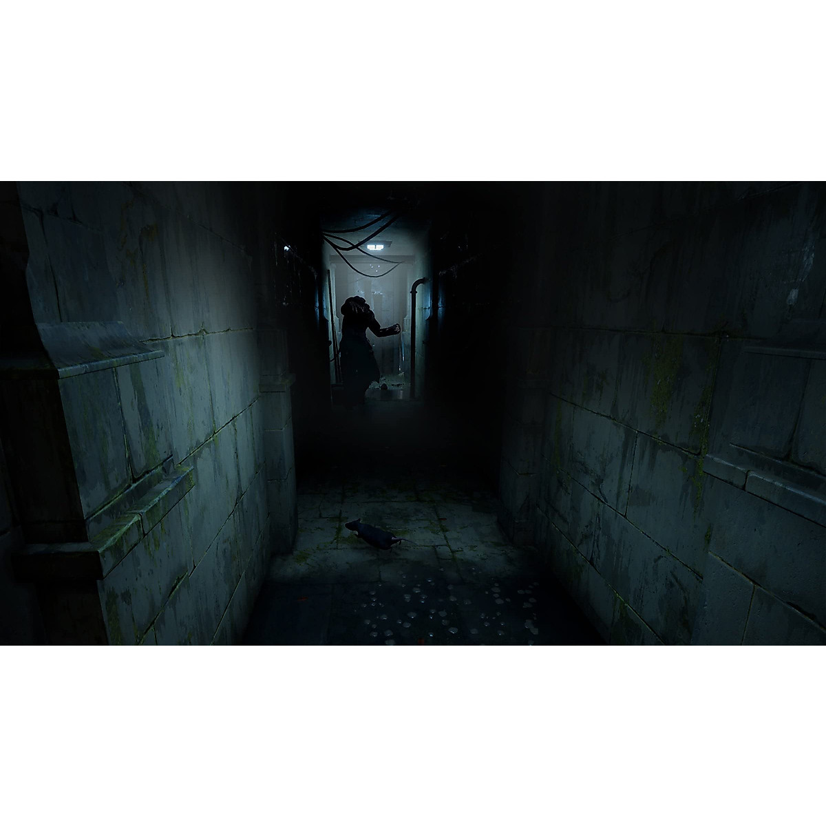 HORROR TALES: The Wine - PlayStation 5