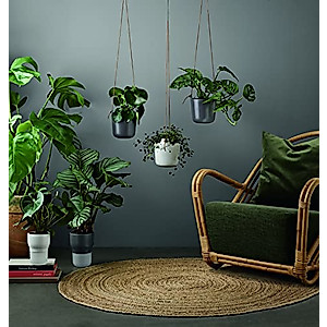 Eva Solo Zaparzacz do kawy CafeSolo Kolor Light Grey 1.0 Litre