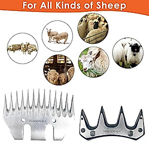 PetierWeit Sheep Shears Blades 2pcs Professional Sheep Clipper Blade Replacement Heavy Duty Stainless Steel Sheep Shears Replacement Blades for Shaving Hair in Sheep, Goats and Pet Livestock