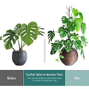 Fetanten Monstera Plant Support, 43 Inch Plant Support Stakes Moss Pole for Indoor Plants with Orchid Clips Twist Ties and Plant Strap, Perfect Plant Stakes for Climbing Plant (6 Pack)