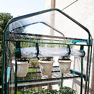 Worth Garden 4 Tier Mini Greenhouse - 63'' H x 27'' L x 19'' W - Sturdy Portable Gardening Shelves with PVC Cover - Small Green House Use in Indoor & Outdoor for Plants Flowers