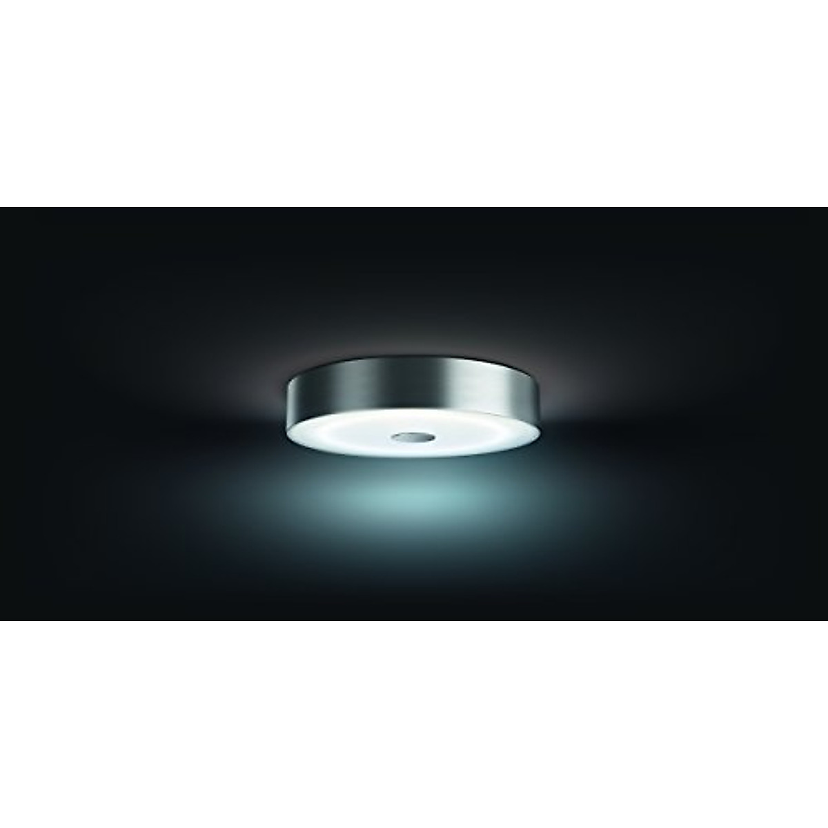 Philips Hue White Ambiance Fair Dimmable LED Smart Flushmount (Works with Alexa Apple HomeKit, and Google Assistant)