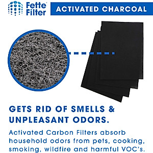 Fette Filter - D360 Premium True Hepa H13 Replacement Filter D3 Compatible with Winix D360 Air Purifier Part Number 1712-0101-02, 1712010102 Qty 2 True Hepa and 8 Activated Carbon Filter