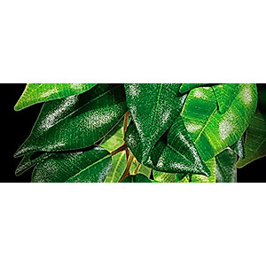 Exo Terra Silk Terrarium Plant, Small, Ficus