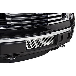 Putco 84182 Ecoboost Punch Design Bumper Grille Insert for Ford F150