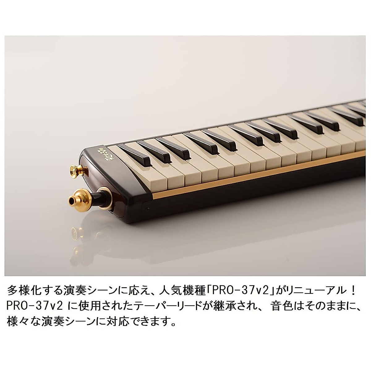 Suzuki Musical Instrument Melodica (PRO-37V3)
