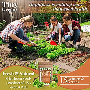 15 Heirloom Lettuce & Leafy Vegetable Seeds | 4000+ Seeds | Non GMO Seeds for Planting | Hydroponic Garden Seeds - Indoors or Outdoor