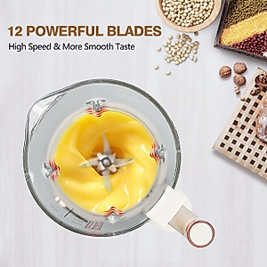 AMERZIS 8 in 1 Nut Milk Maker, 45oz Automatic Soybean Milk Machine for Homemade Almond, Oat, Coconut, Soy, Plant Based Milks and Non Dairy Beverages, with Delay Start/Keep Warm/Boil Water, Cream