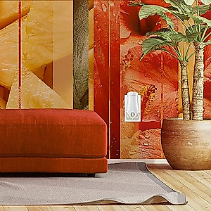 Glade PlugIns Refills Air Freshener, Scented and Essential Oils for Home and Bathroom, Hawaiian Breeze, 6.7 Fl Oz, 10 Count (Packaging May Vary)