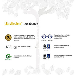 Wellatex 7 Zone 3 Inch Soft 100% Natural Premium Latex Mattress Topper Queen (Flammability Safety Certified)