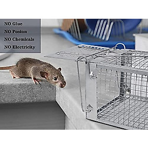 2 Pack Humane Rat Traps, Live Small Mouse Traps Catch and Release for Indoor Outdoor, Small Animals Traps, Easy to use, Pet Safe Medium Size ( 10.6"x 5.5"x 4.5" )