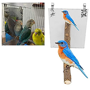 Bird Mirror, Stainless Steel Medium Small Parrots Mirror Bird Mirror Toy with Wooden Standing Rod for Parrot Parakeet Cockatiels