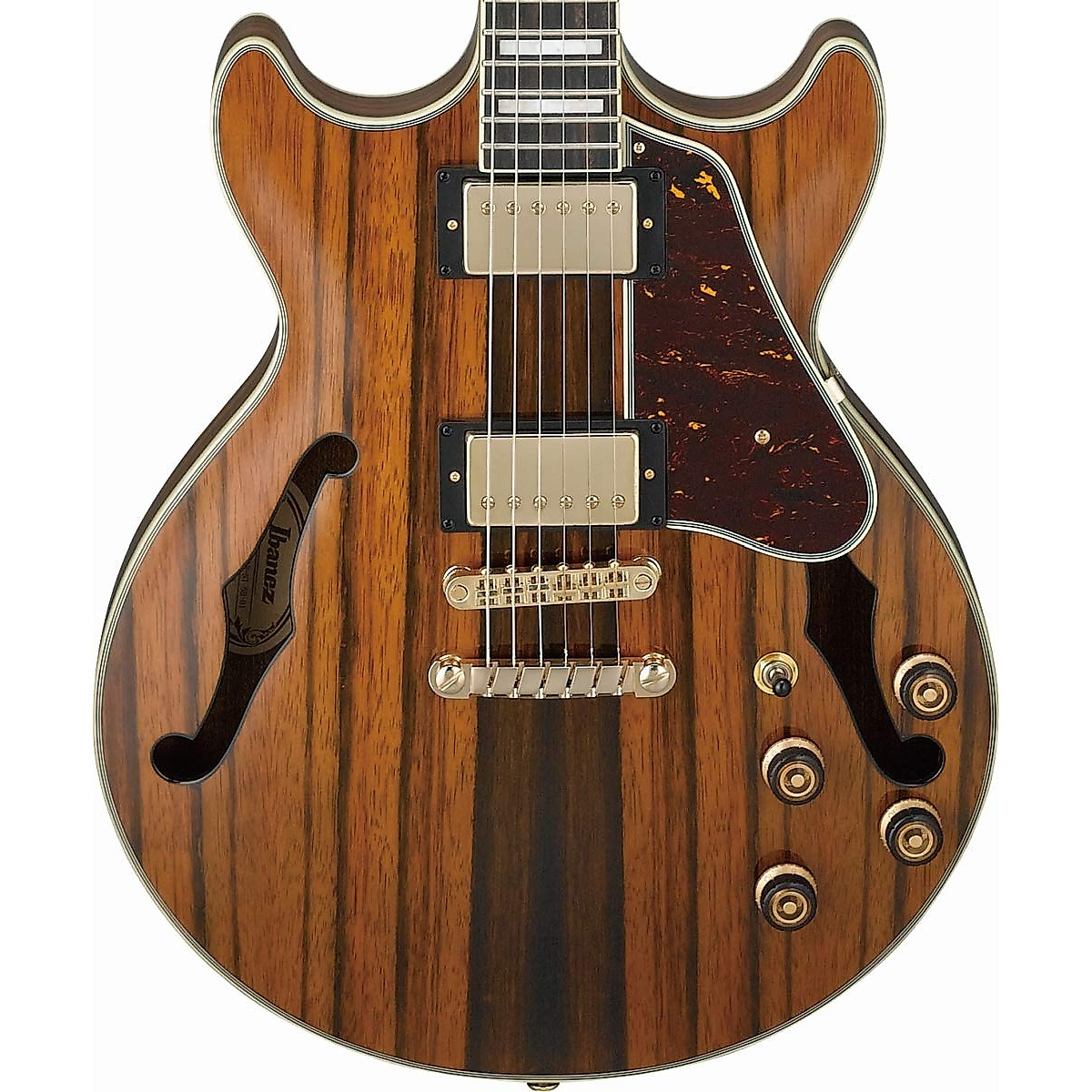 Ibanez AM93ME Artcore Expressionist Macassar Ebony Semi-Hollow Body