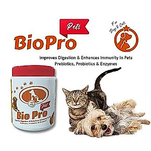 Pets Unique Blend of Prebiotics, Probiotics,Vitamins & Enzymes,Improves Digestion & Builds Immunity in Cats and Dogs 100 gm Each