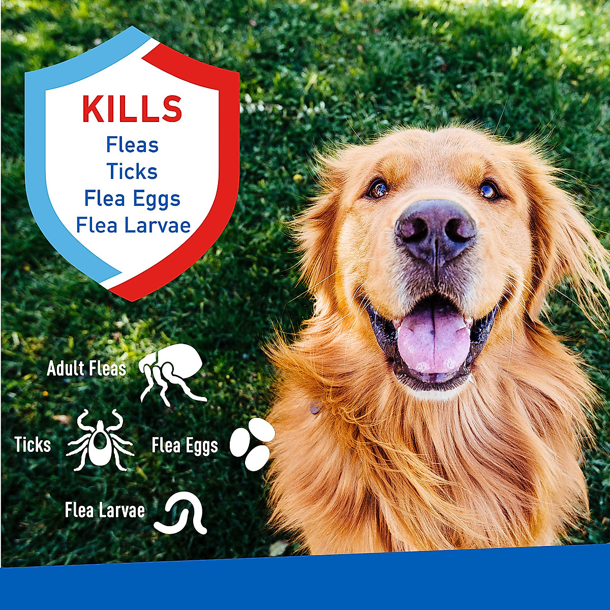 Adams Flea & Tick Spray For Dogs and Cats | Kills Fleas and Ticks Through Contact, Kills Flea Eggs, Flea Larvae, and Prevents Flea Egg Hatch | Controls Flea Reinfestation For Up To 2 Months | 16 Oz