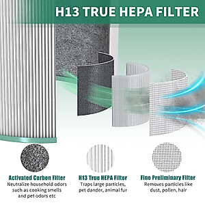 EGR Air Purifier & Fan Filter Replacements Compatible with Dyson Pure Cool Link TP01, TP02, TP03, AM11, BP01 Models, 2 Pack