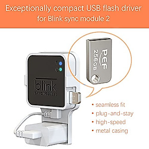 256GB Blink USB Flash Drive and Outlet Wall Mount for Blink Sync Module 2, Space Saving for Blink Outdoor Indoor Security Camera (Blink Sync Module 2 is NOT Included)