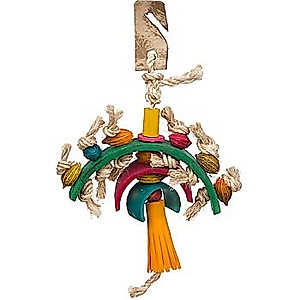 Planet Pleasures 41183 Rainbow Pet Toy, Large