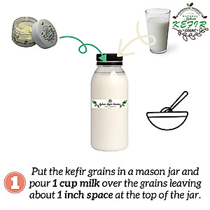 Fresh Milk Kefir Grains - 1 TBSP